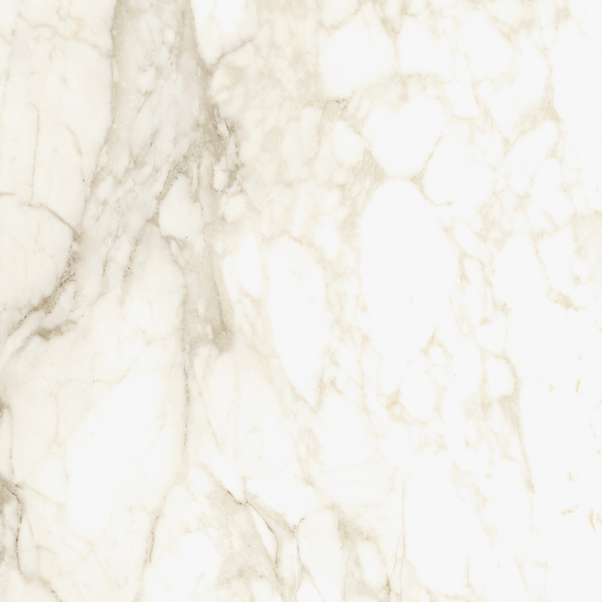 Керамогранит Coliseum Gres Michelangelo Ворм, 60x60, под мрамор, белый, матовый в Санкт ...